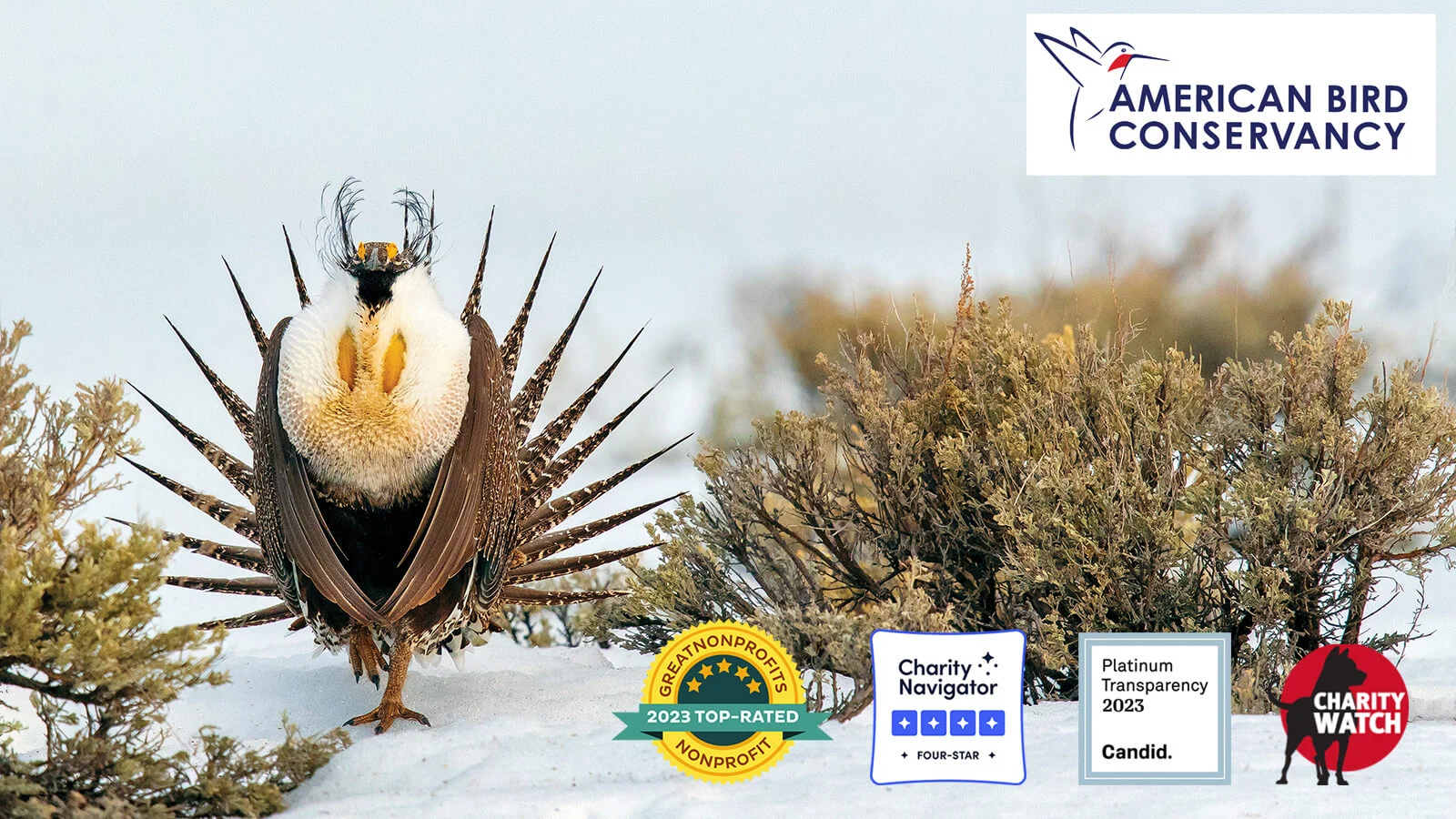 American Bird Conservancy Awarded 2023 Top Nonprofit Awards - American Bird Conservancy