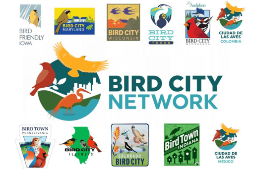 Want Your Community to Become a Bird City? Here's What to Do - American ...