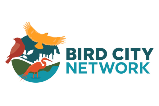 Bird City Network Launches to Expand Bird Conservation Across the ...