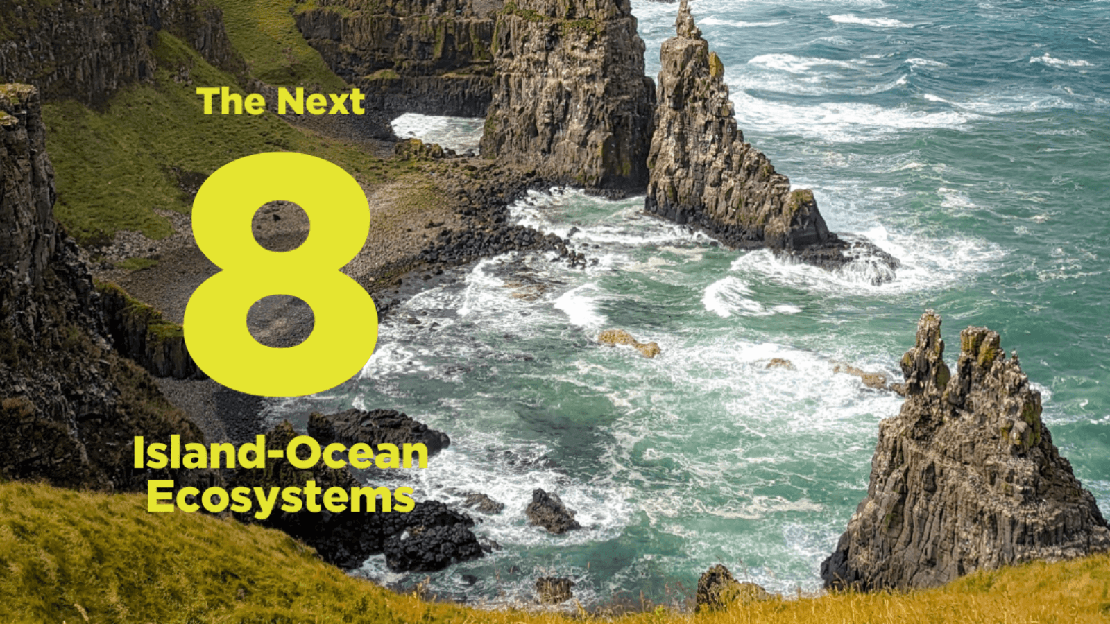 Next Eight Island-Ocean Ecosystems Confirmed for Global Ridge-to-Reef ...