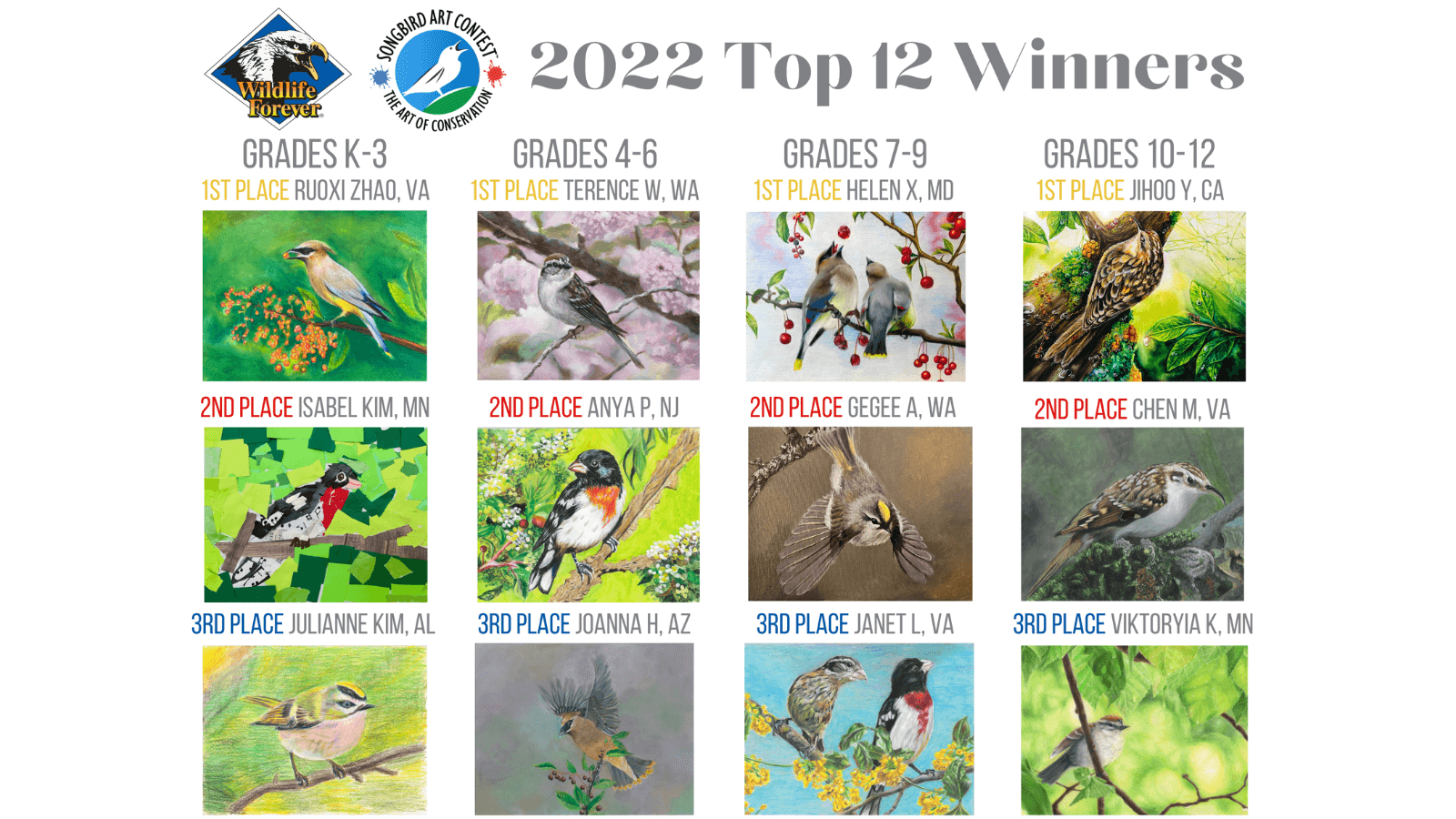 Wildlife Forever Announces 2022 Songbird Art Contest Winners - American ...