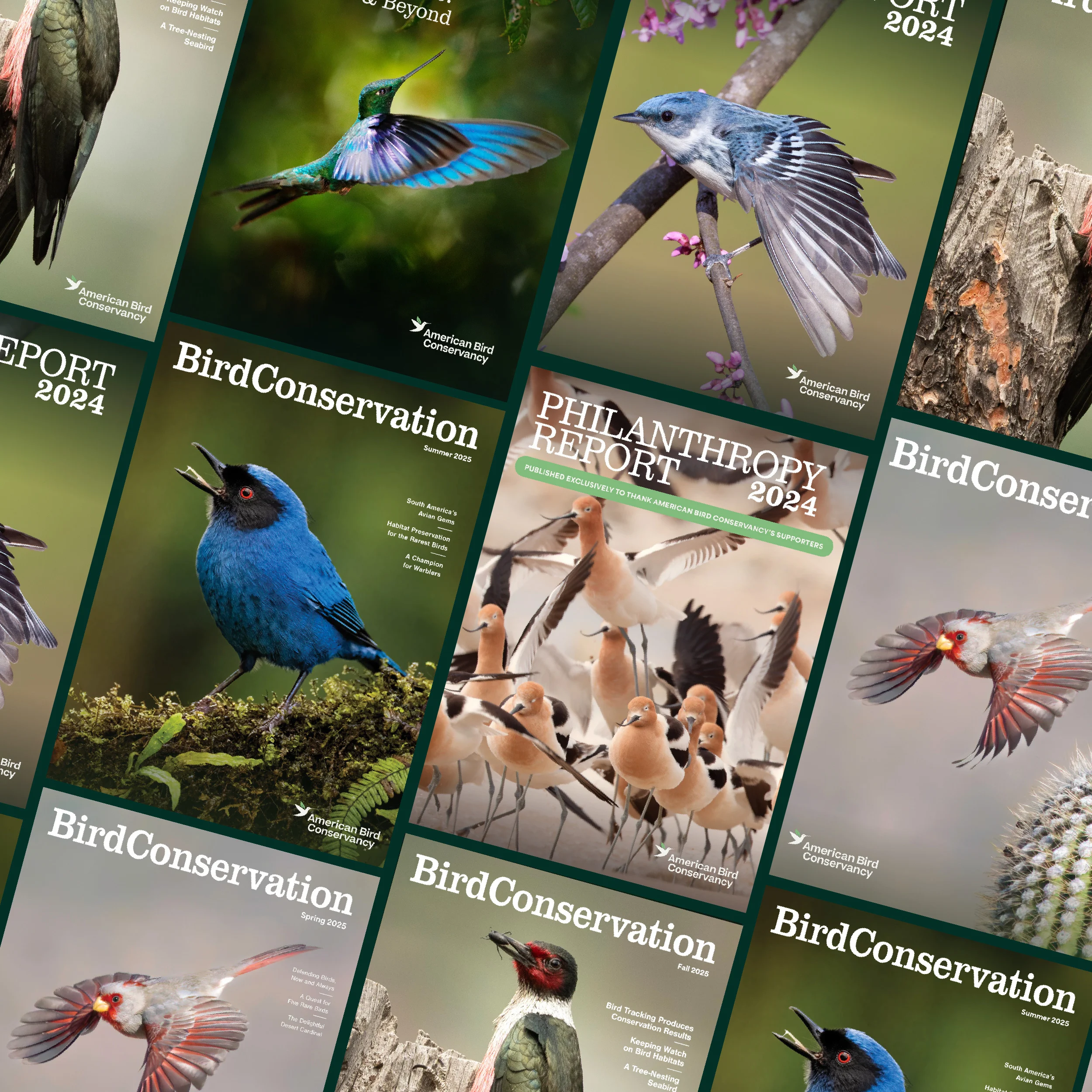 Bird Conservation Magazine - American Bird Conservancy
