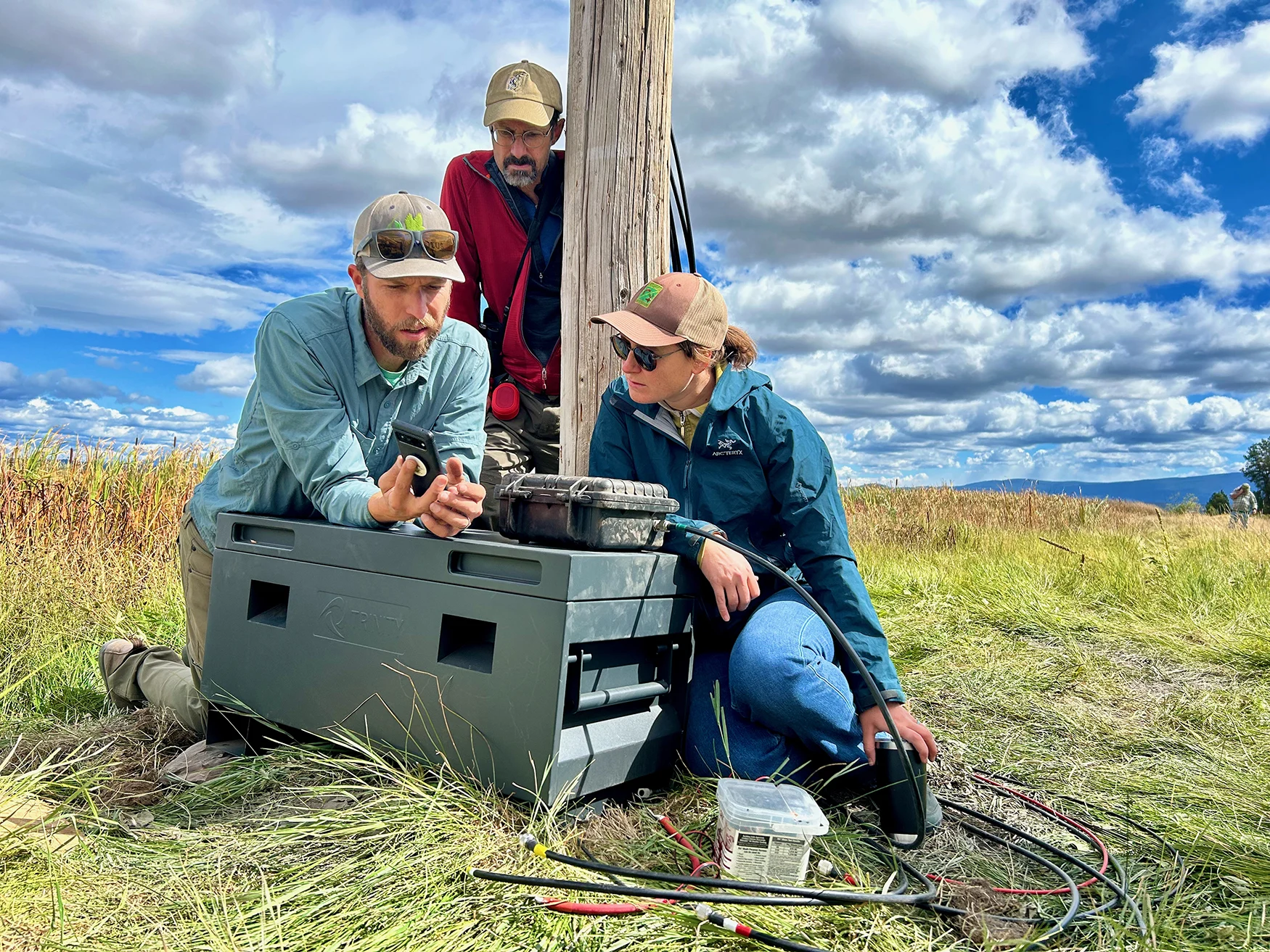 Signal Boost - American Bird Conservancy